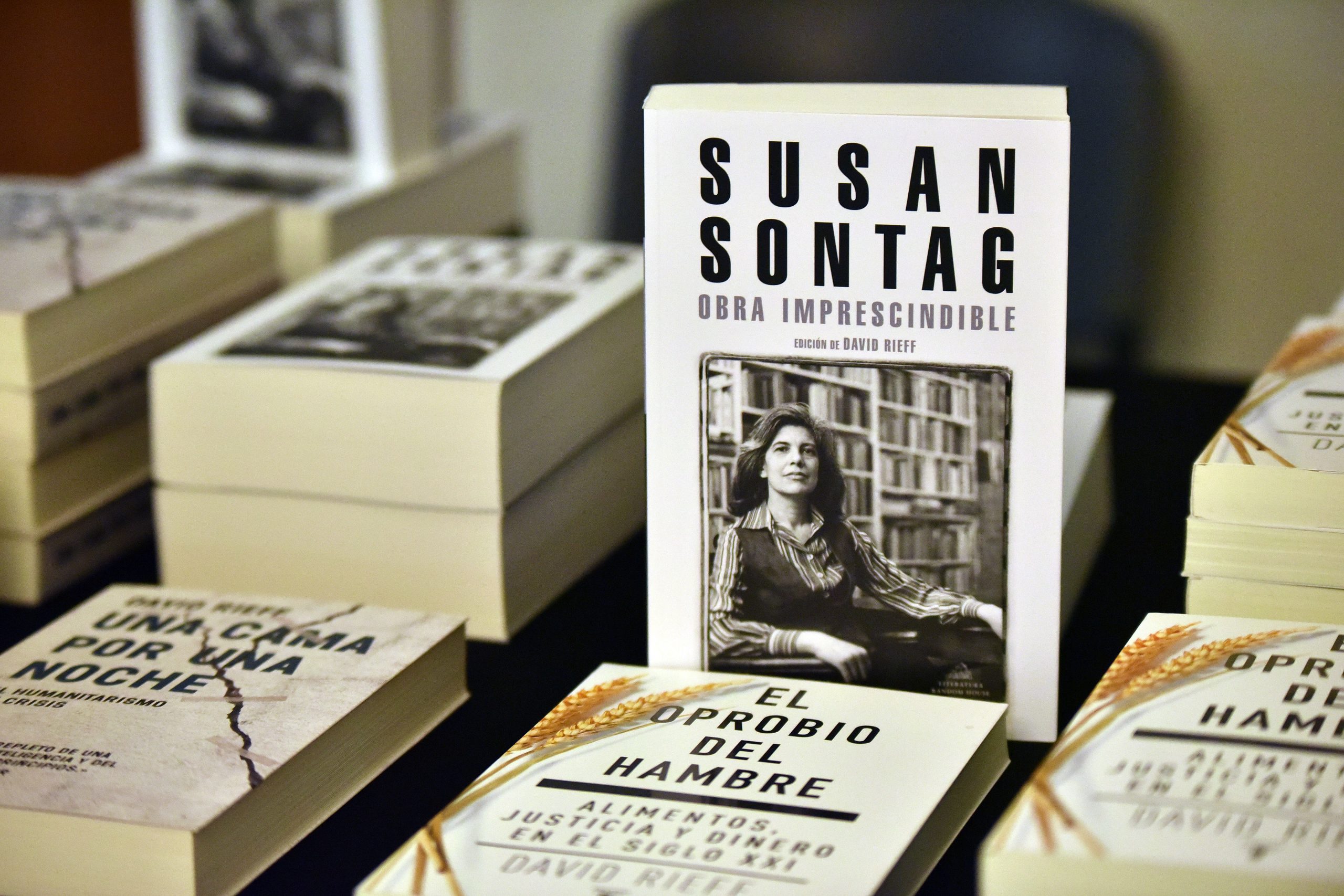 Conversatorio “Obra imprescindible de Susan Sontag” con David Rieff ...